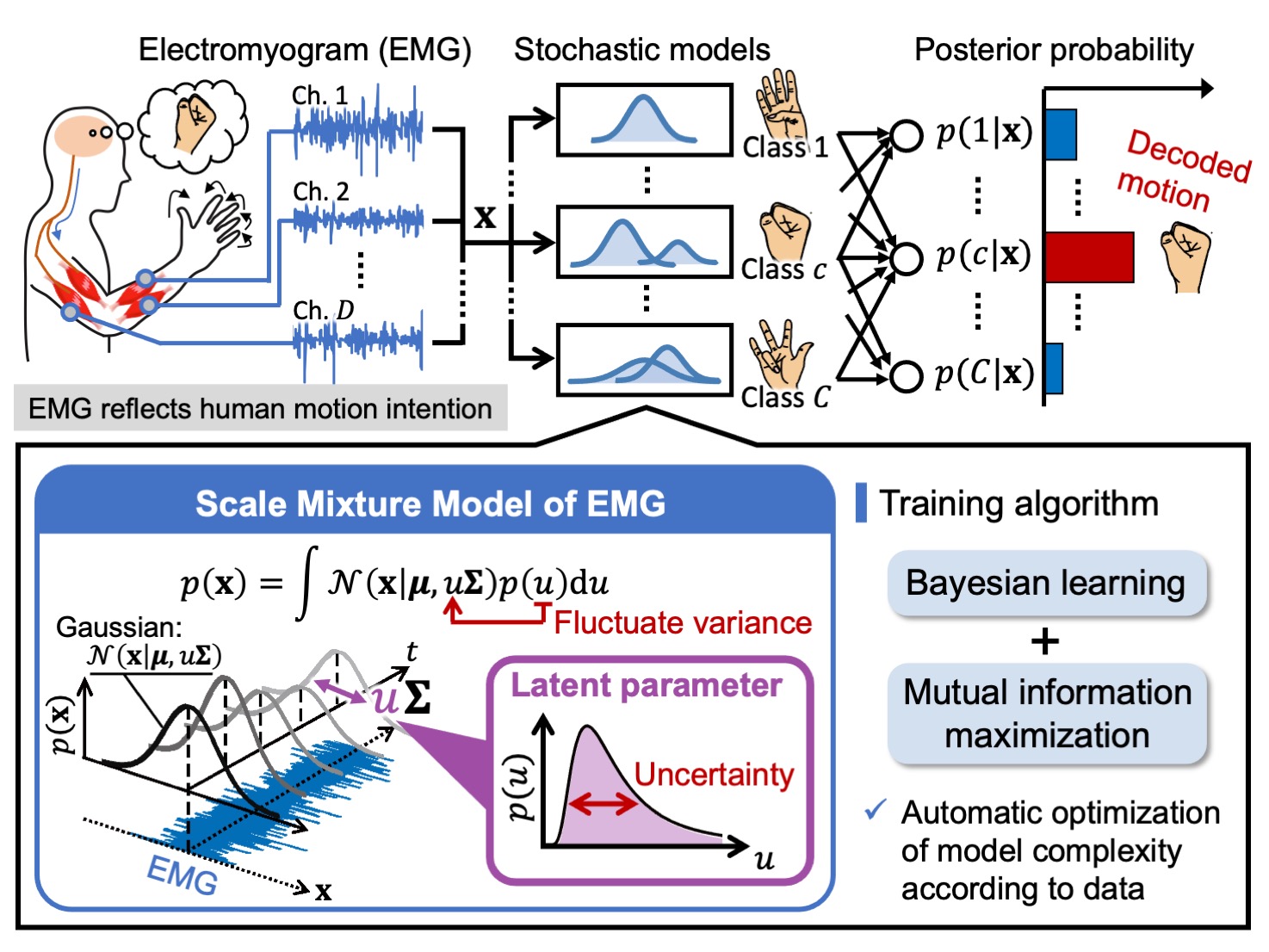Human Motion Classification Based on Stochastic Generative Models of Electromyogram (EMG ...