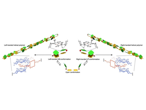 Hiroshima University | Hiroshima University