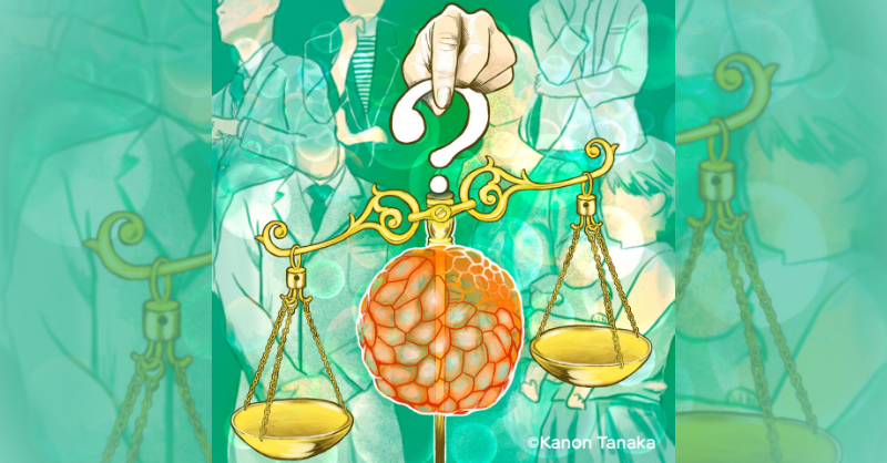 Why regulating stem cell–based embryo model research is important (yet ...