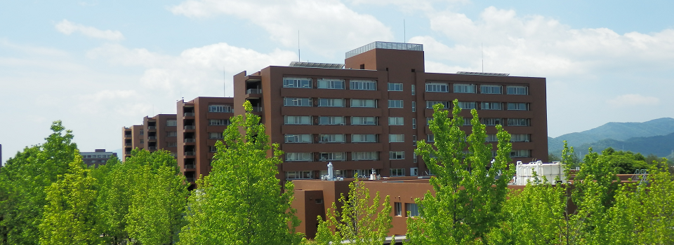 School of Engineering | Hiroshima University
